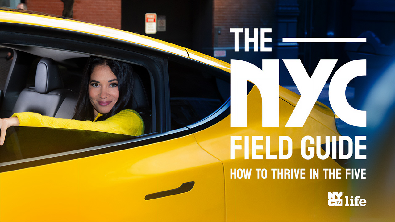 The NYC Field Guide: How to Thrive in the Five, A Brand New Television ...